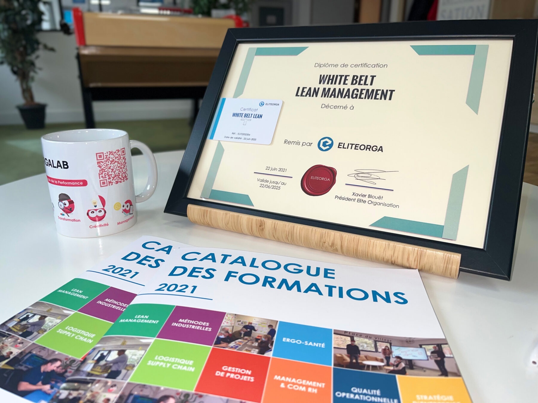 Recyclage Certification WHITE BELT - EliteOrga - Nantes & Lille